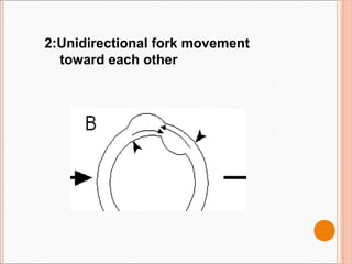 chloroplast DNA | PPT