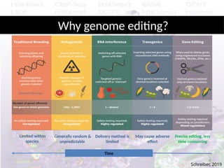 GENOME EDITING PPT HOW TO EDIT GENE TO CURE DISEASE | PPT