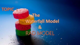 The Waterfall Model & RAD MODEL | PPT