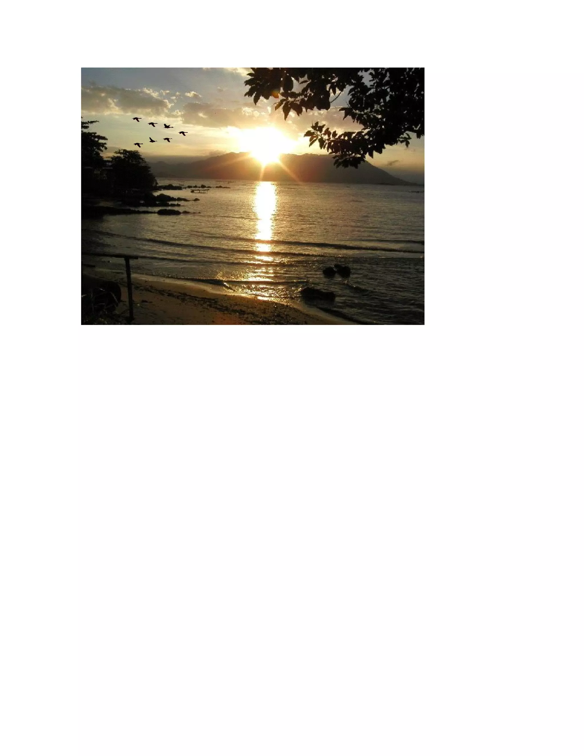 Pppppppppppppppppp | DOC