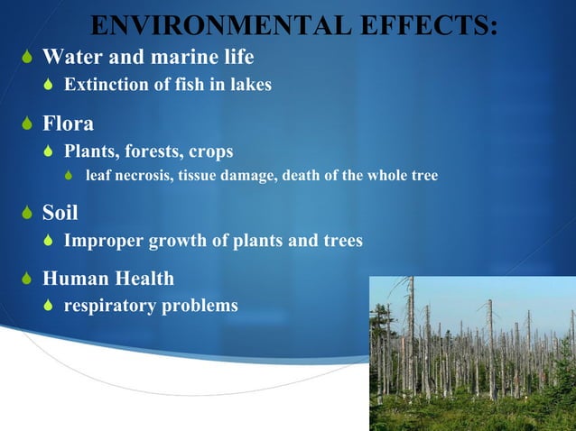 Acid Rain Powerpoint presentation | PPT | Chemistry | Science
