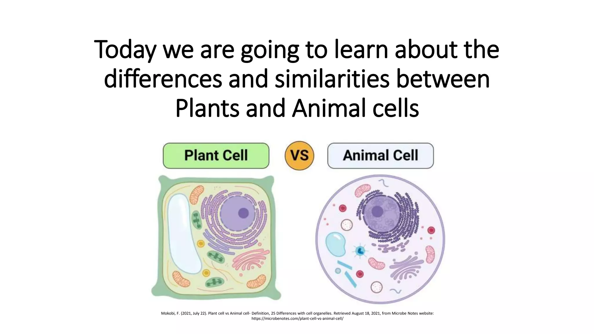 Differences between an Animal cell and a Plant cell | PPTX