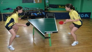 presentation on table tennis | PPTX