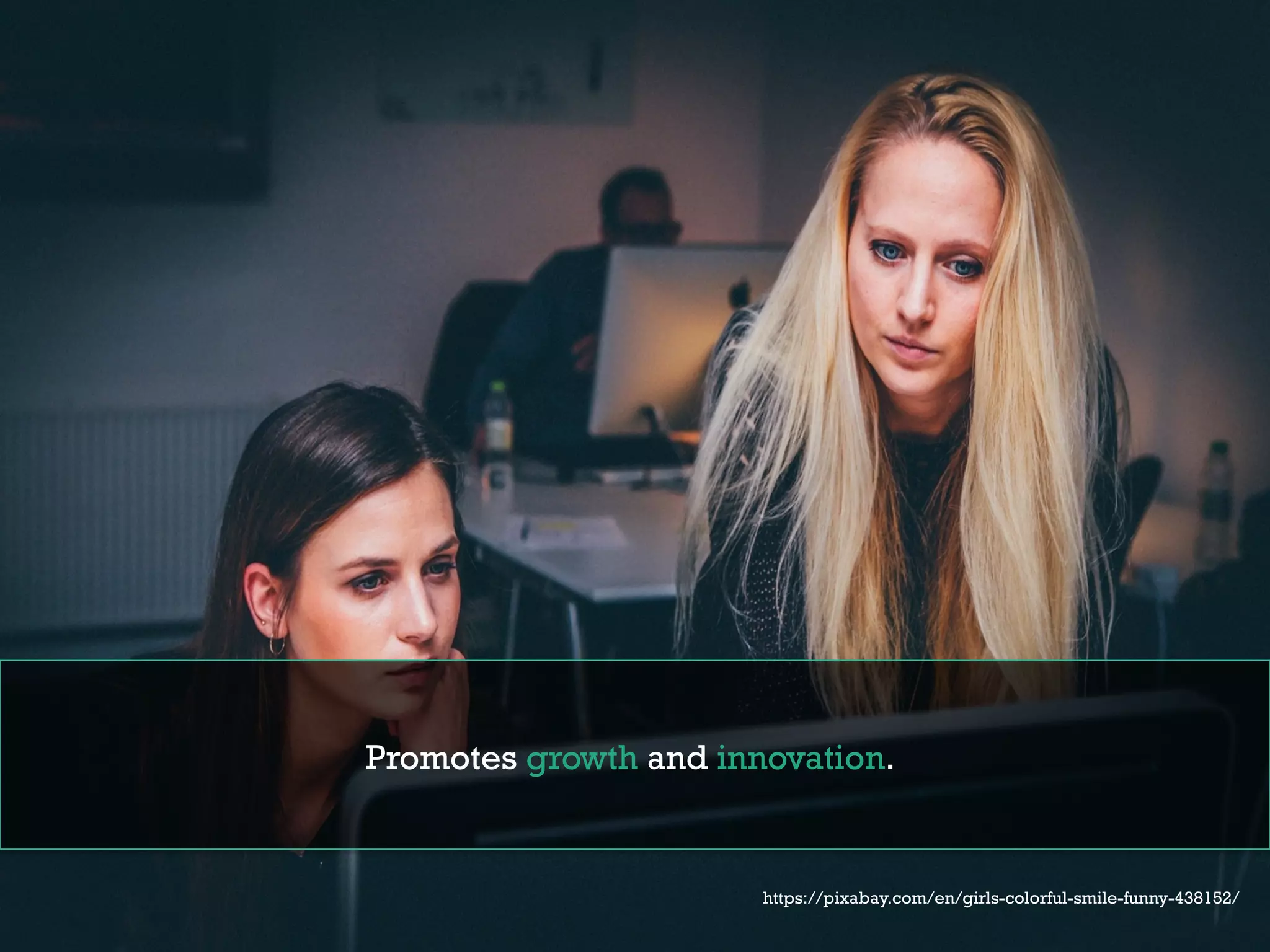 Professional Persona Project Slideshow | PDF