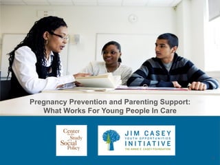 Pregnancy Prevention and Parenting Support: What Works for Young People ...