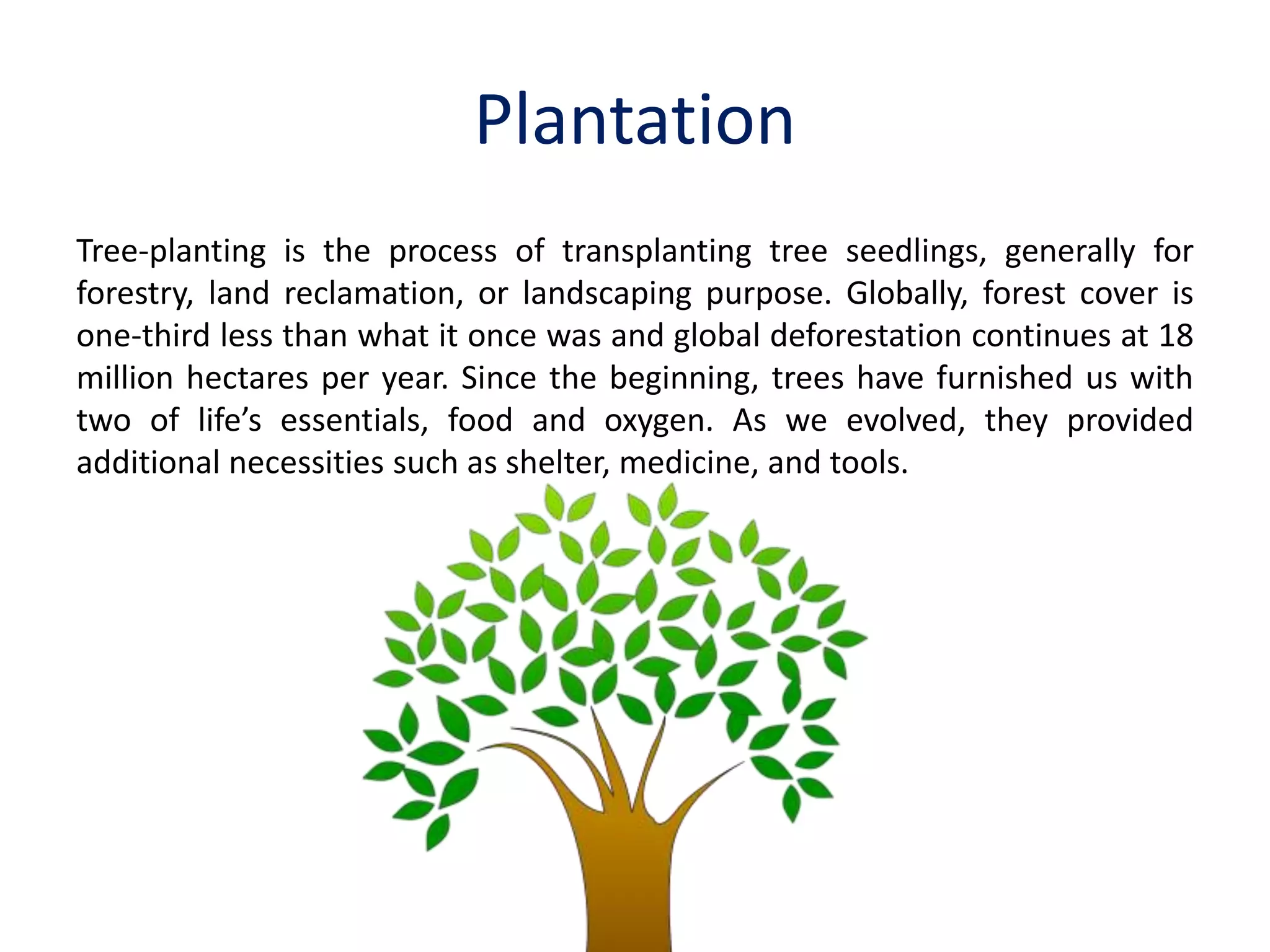 Human Activity for Environmental Development | PPT