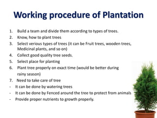 Human Activity for Environmental Development | PPTX