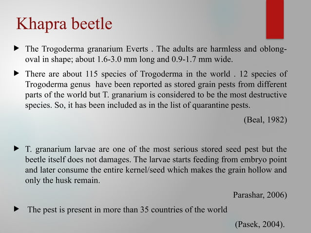 pppt.pptx store grain pest khapra beetle | PPTX