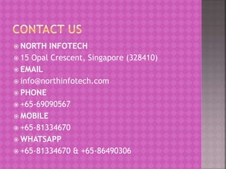 IT company Singapore, Web Design development, North Infotech | PPT