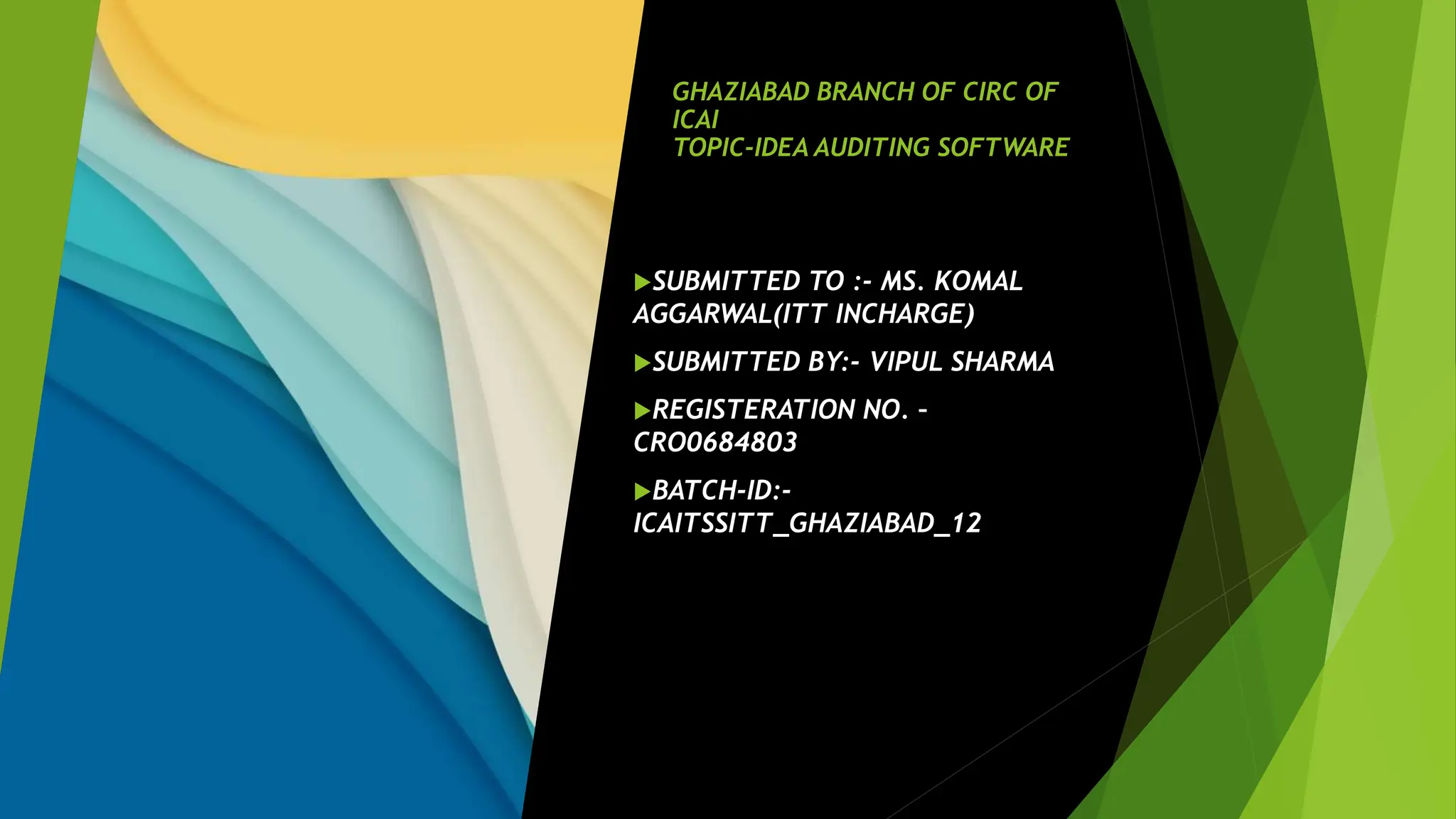 Presentation on IDEA auditing software CA | PPTX