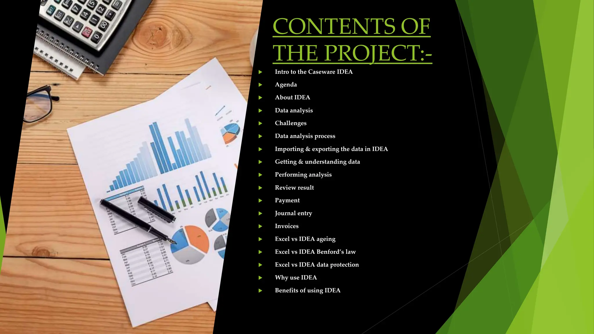 Presentation on IDEA auditing software CA | PPTX