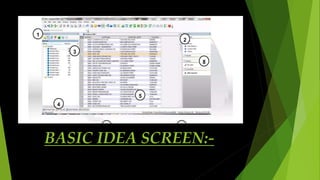 Presentation on IDEA auditing software CA | PPTX
