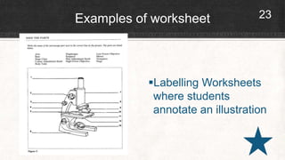 worksheets | PPTX