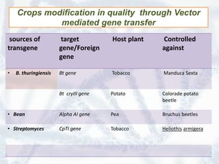 Transgenics in crop improvement | PPTX