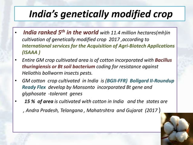 Transgenics in crop improvement | PPTX