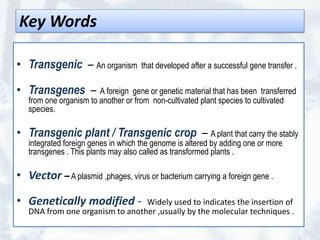 Transgenics in crop improvement | PPTX