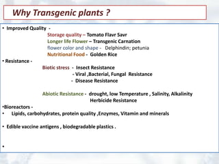 Transgenics in crop improvement | PPTX