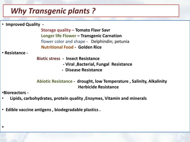 Transgenics in crop improvement | PPTX