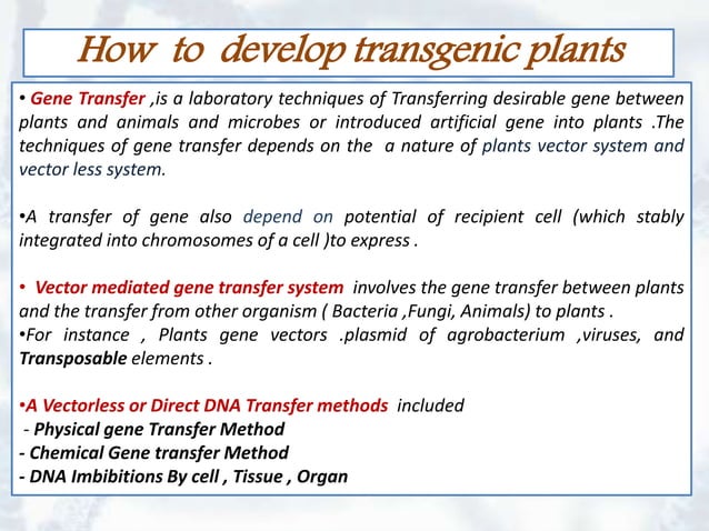 Transgenics in crop improvement | PPTX