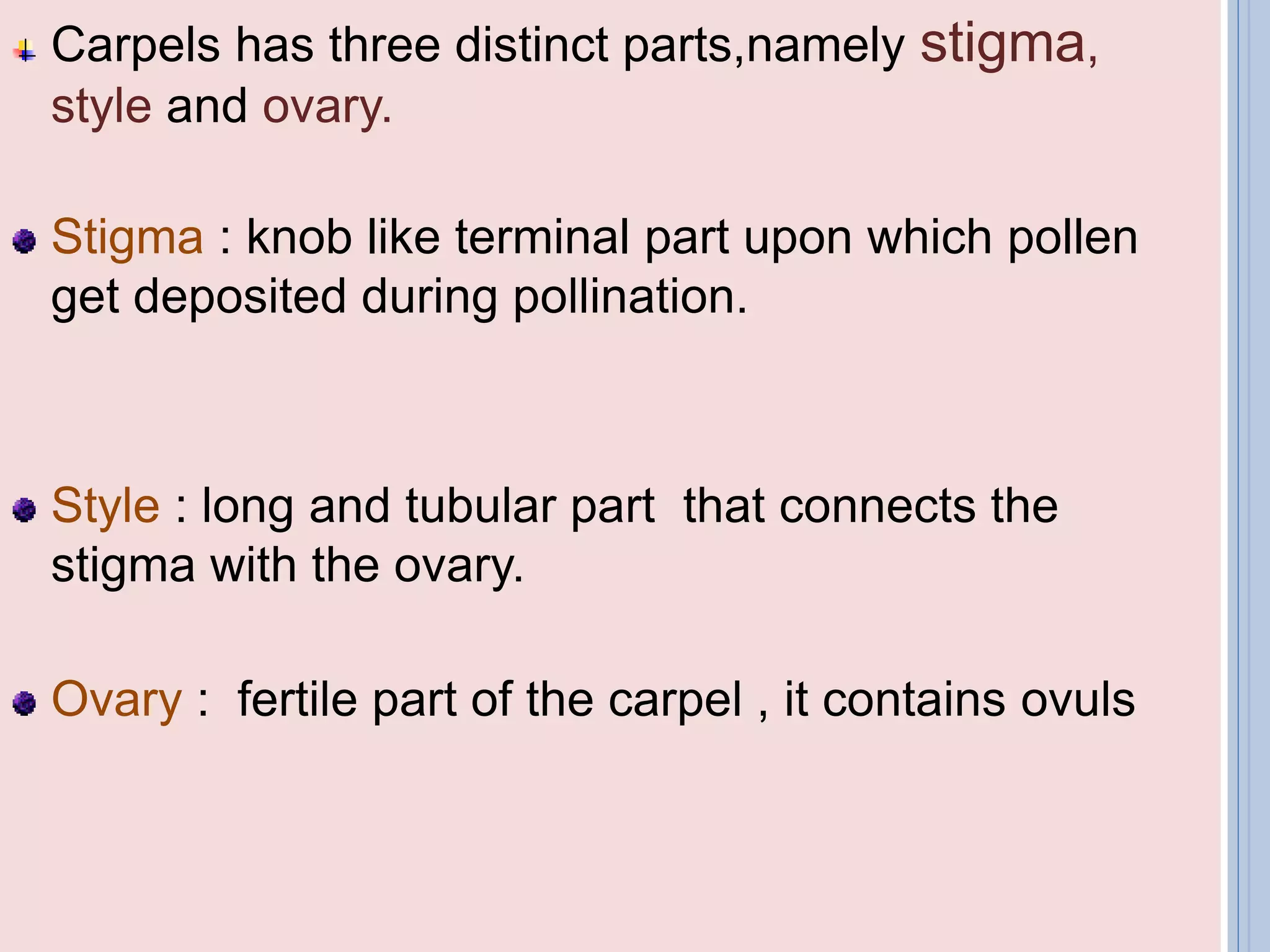Parts of flower | PPTX