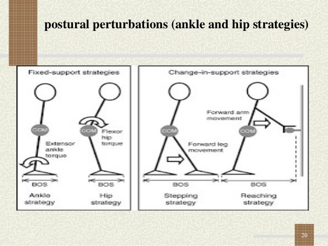 Ppr..perporagram raction.