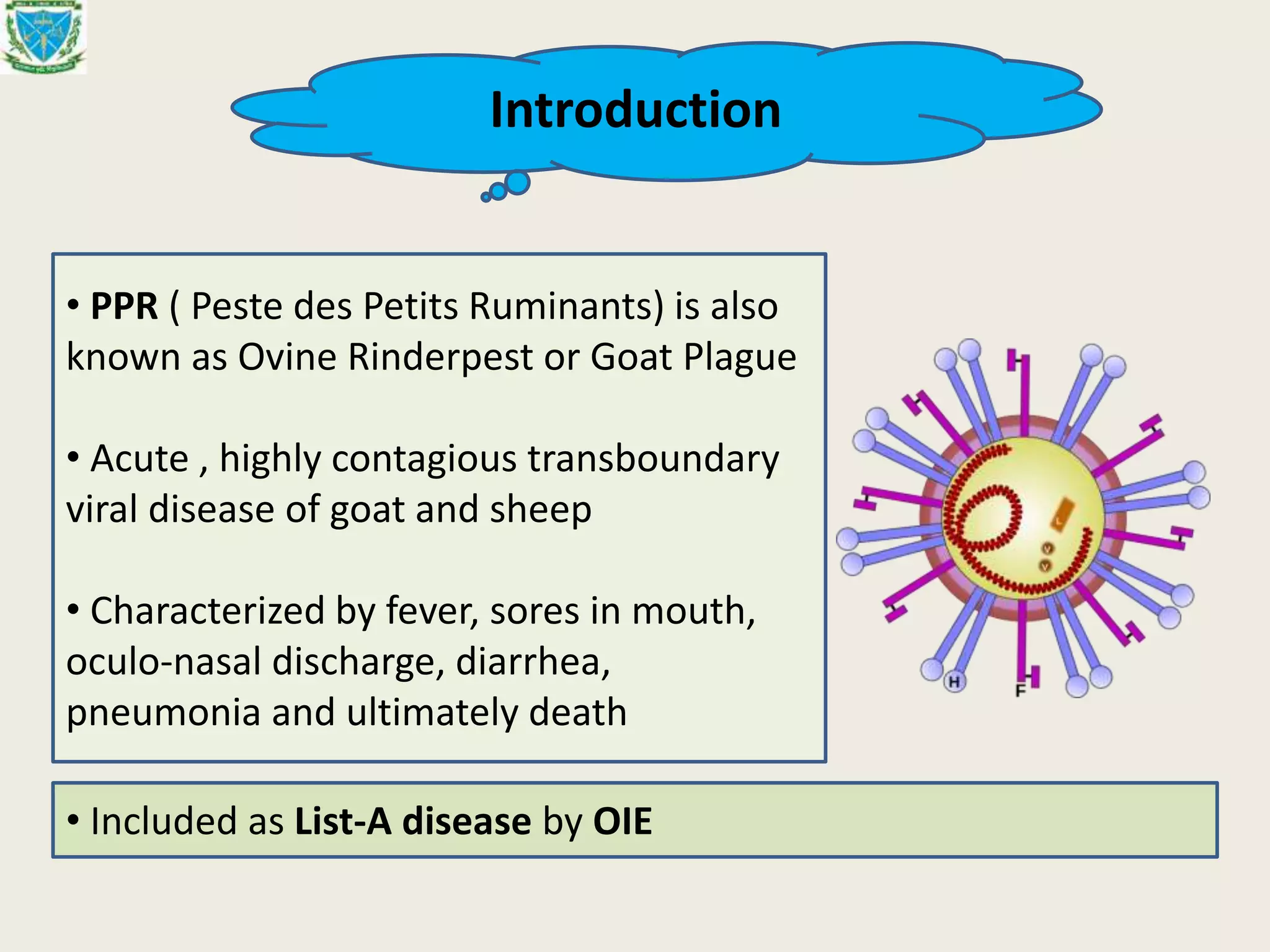 Peste des Petits Ruminants ( PPR ) in Goat | PPTX