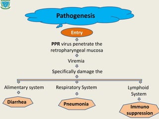 Peste des Petits Ruminants ( PPR ) in Goat | PPTX