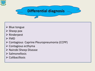 Peste des Petits Ruminants ( PPR ) in Goat | PPTX