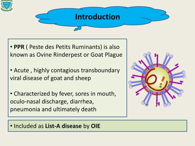 Peste des Petits Ruminants ( PPR ) in Goat | PPTX