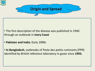 Peste des Petits Ruminants ( PPR ) in Goat | PPTX