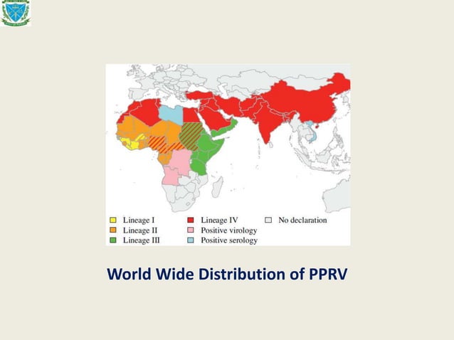 Peste des Petits Ruminants ( PPR ) in Goat | PPTX