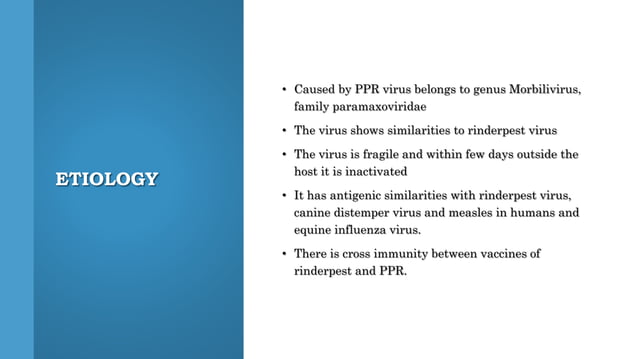 Ppr | PPTX | Infectious Diseases | Diseases and Conditions