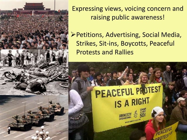 Globalisation, democracy and social movements | PPT