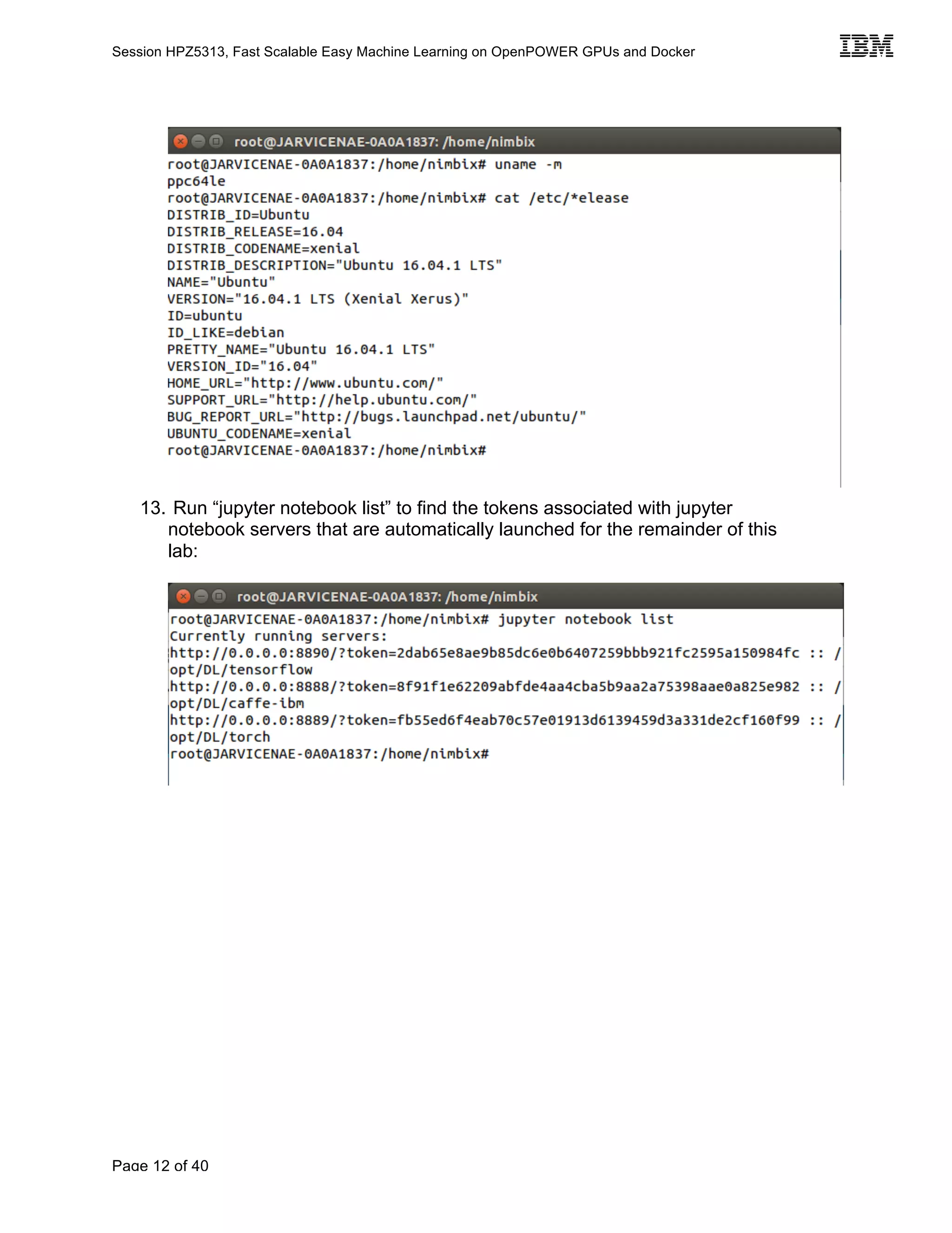 Fast Scalable Easy Machine Learning with OpenPOWER, GPUs and Docker | PDF