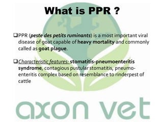 PPR Control in Modern Goat Farms in India | PPT