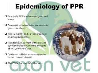 PPR Control in Modern Goat Farms in India | PPT