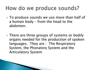P presentation 3 (phonetics for beginners) | PPTX
