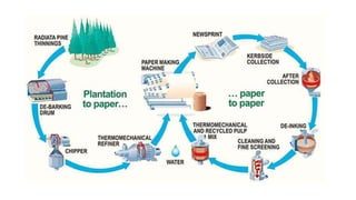 Paper used in food packaging | PPT