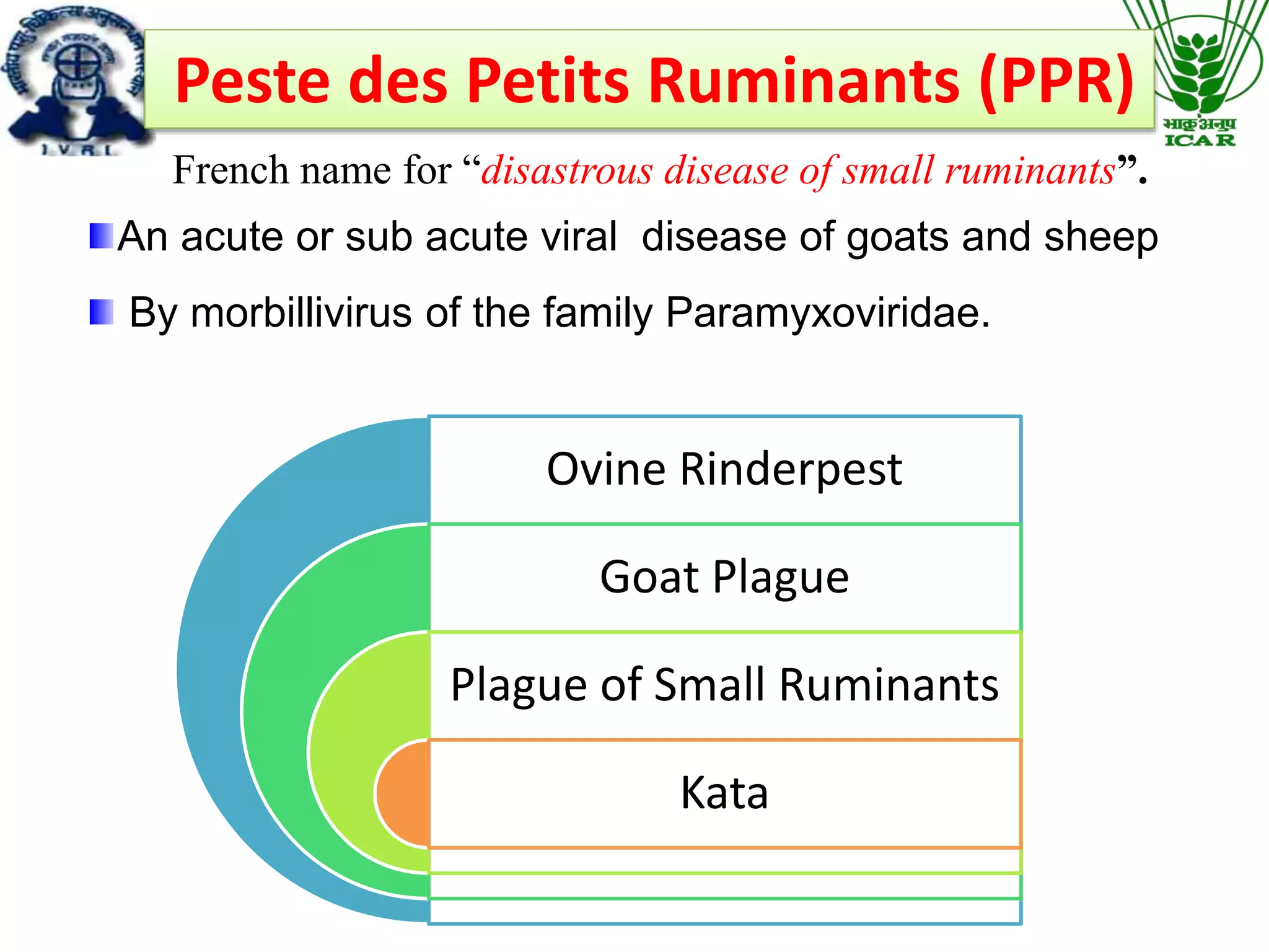 Peste des Petits Ruminants (PPR) in India Epidemiology and Control | PPTX