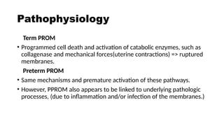 Premature rapture of membranes in pregnant mothers | PPT