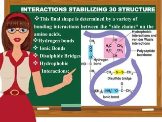 protein structure ppt by manikant mani | PPT