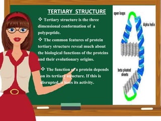 protein structure ppt by manikant mani | PPT