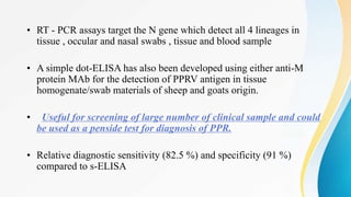 PPR PRESENTATION OF RUMINANT ANIMAL.pptx