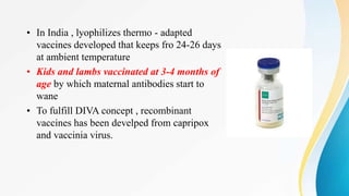 PPR PRESENTATION OF RUMINANT ANIMAL.pptx