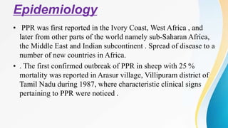 PPR PRESENTATION OF RUMINANT ANIMAL.pptx