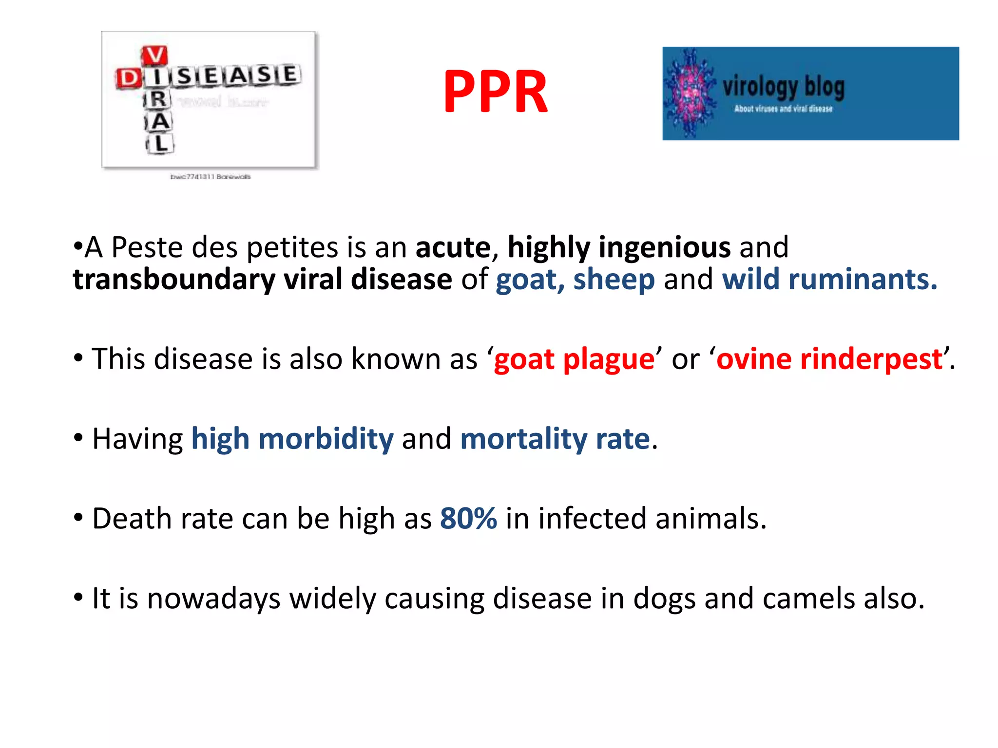 Peste des petitis Ruminants | PPTX