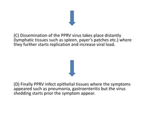 Peste des petitis Ruminants | PPTX