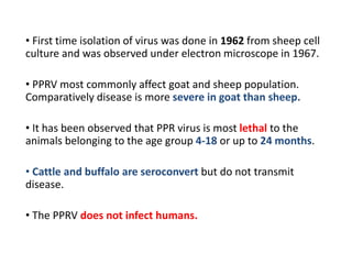 Peste des petitis Ruminants | PPTX