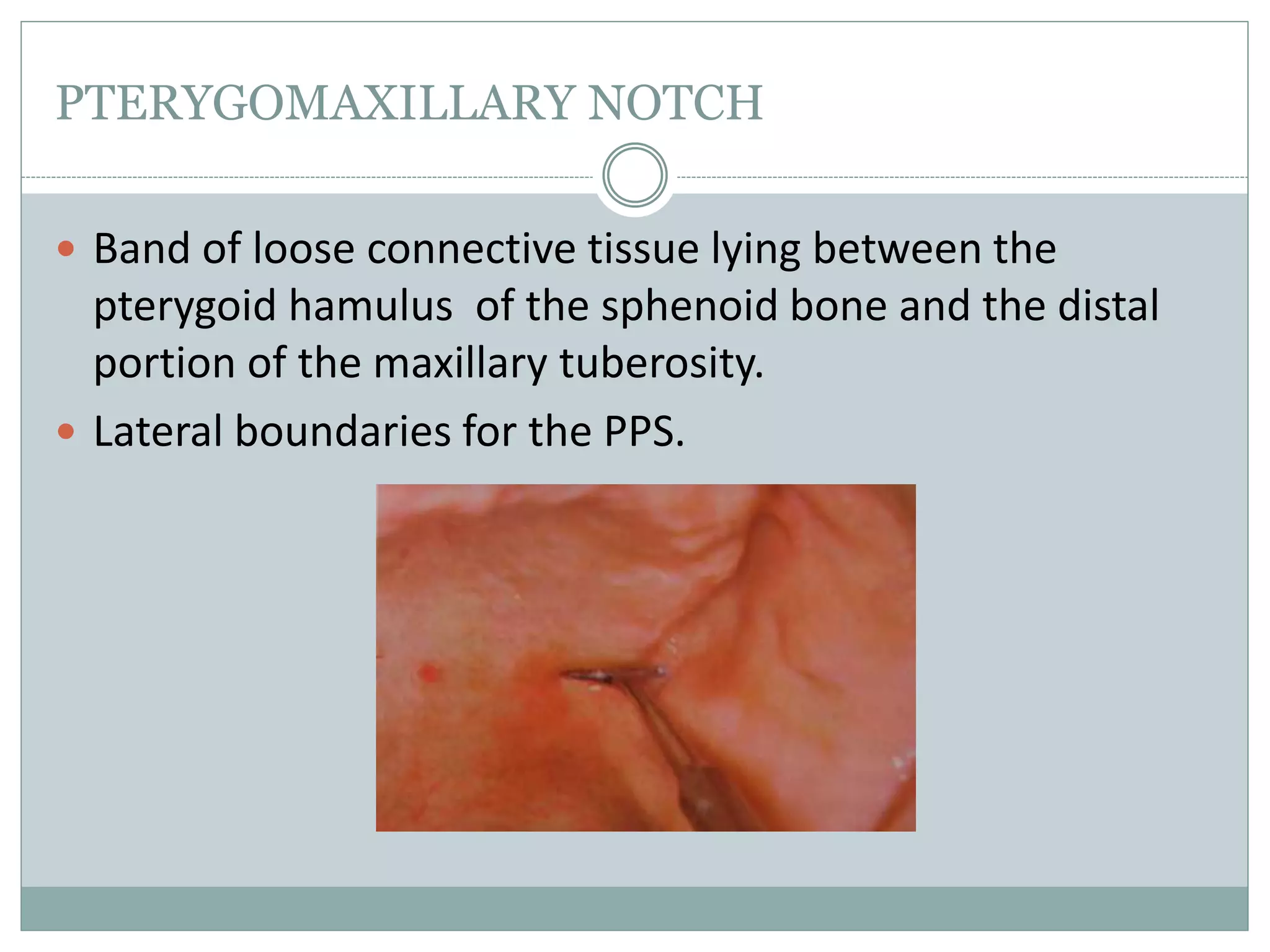 POSTERIOR PALATAL SEAL AREA | PPTX
