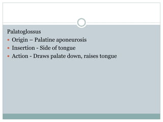 POSTERIOR PALATAL SEAL AREA | PPTX